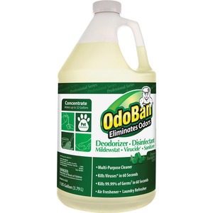 OdoBan Eucalyptus Multi-purpose Deodorizer Disinfectant Concentrate ...